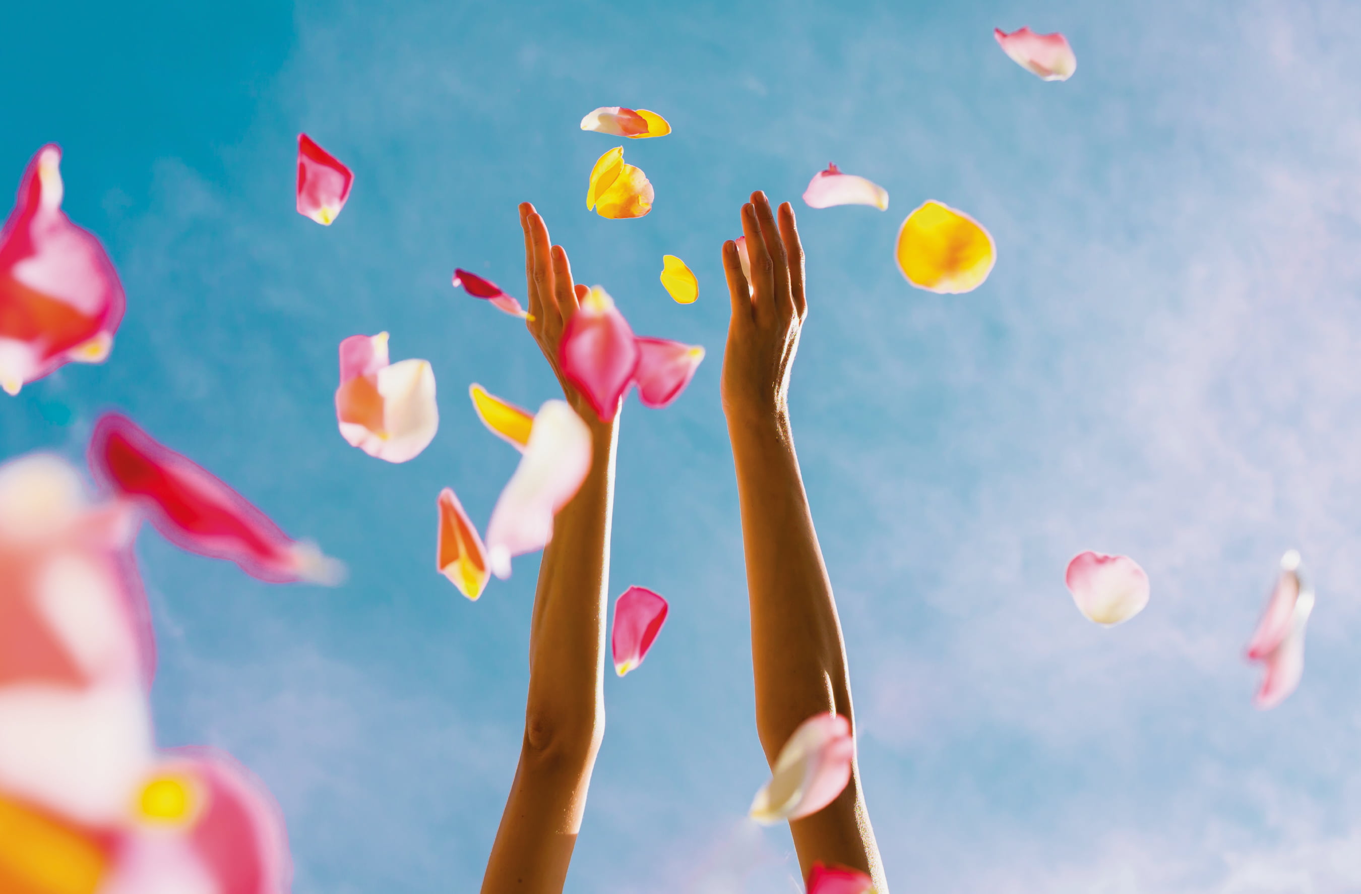 Champ Funeral Services | Beautiful Funerals, Exquisite Care